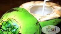 15 Buko Juice Recipe - Selected Recipes
